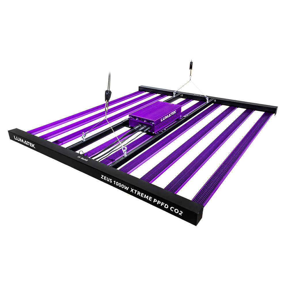 1000 watt grow light store